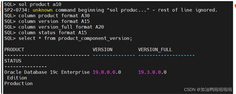 oracle 19c打补丁到19 14 oracle19 14 csdn博客