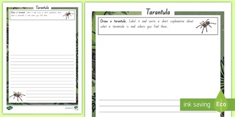 FREE Term 2 Week 7 Year 5 And 6 Chapter Chat Tarantula Worksheet To