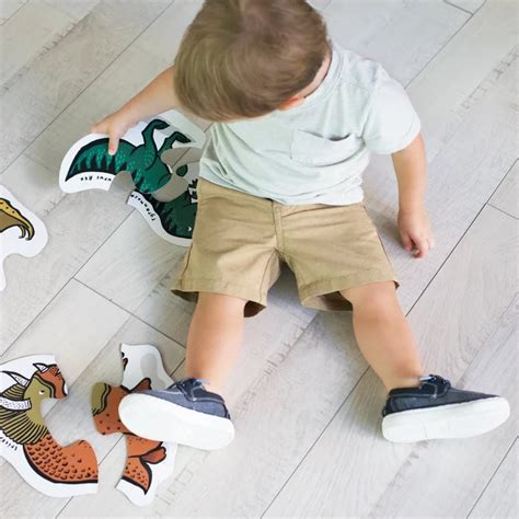 Beginner Puzzles Dinos