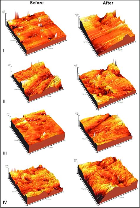 Atomic Force Images Of All Groups Before And After Scaling Procedure Download Scientific Diagram