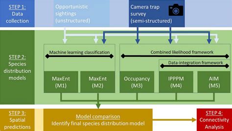 General Workflow For Generating Species Distribution Models With Download Scientific Diagram