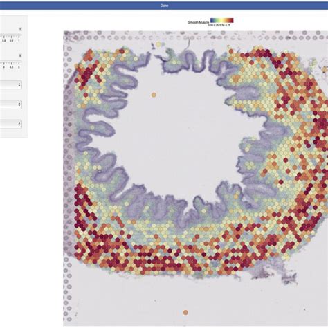 Shiny App Visualization Seurat Integrated Single Cell Identities Have