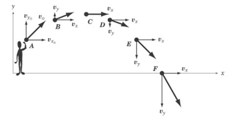 AP Physics Introduction Kinematics In Multiple Dimensions Study Notes