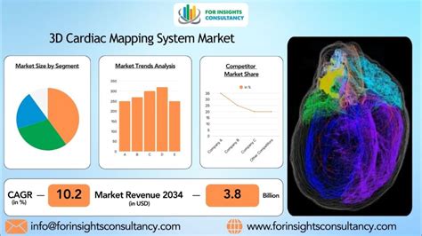 3d Cardiac Mapping System Market Growth Size And Share 2025 34
