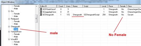 Only Specific Npcs Having Wang Stretch Technical Support Lovers