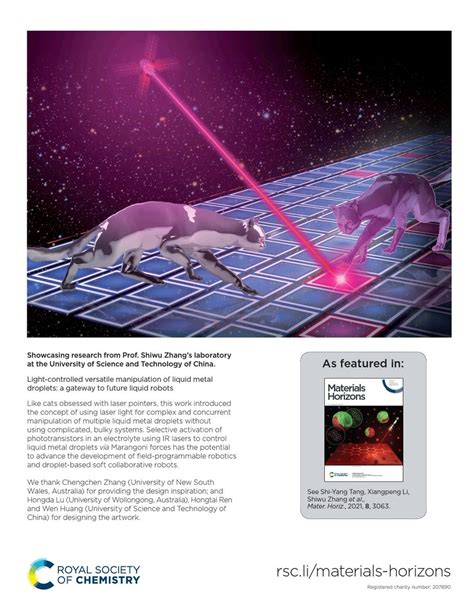 Why Are Cats Obsessed With Laser Pointers