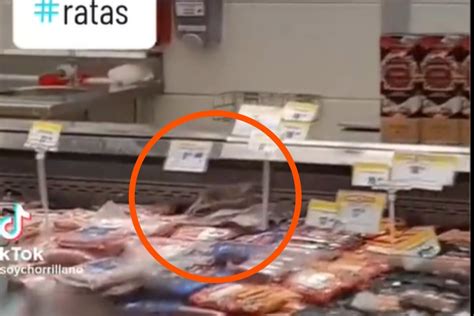 Captan A Dos Enormes Ratas Caminando En Comida De Centro Comercial Quinto Poder