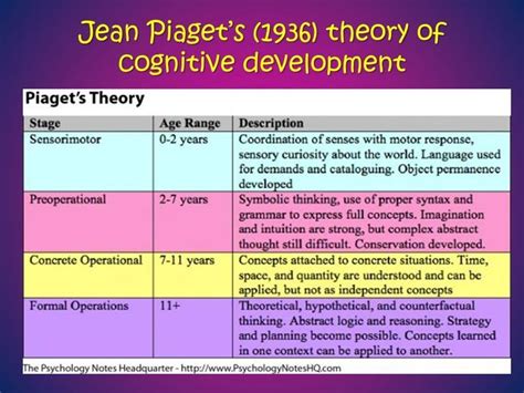 Jean Piagets Theory Of Cognitive Development