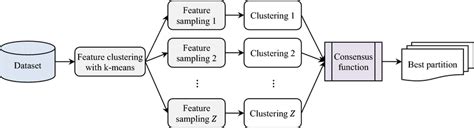 Ensemble Clustering Architecture Considering Feature Sampling