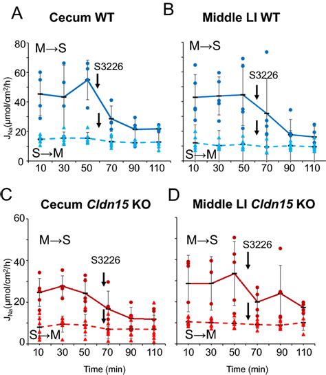 Measurement Of Unidirectional Flux Of Na In The Cecum And Middle Large Download Scientific