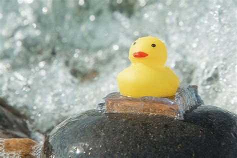 Room Temperature Superconductors Heres Everything You Need To Know New Scientist