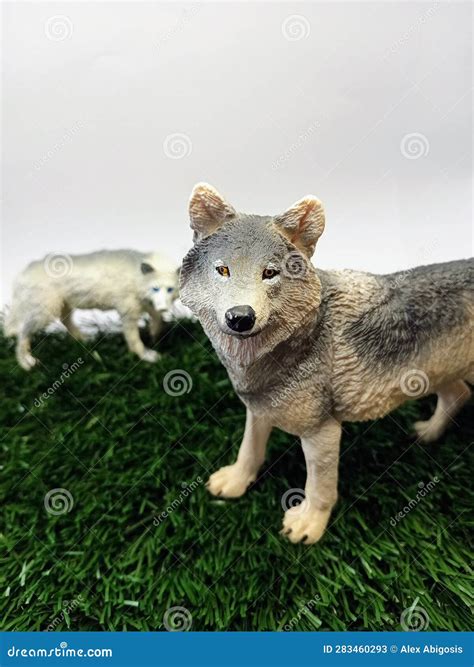 Two Toy Wolf Figures On Green Grass Stock Image Image Of Toys Wolf