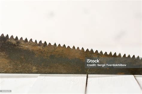 Large Teeth Of An Old Saw On Wood Sharp And Uneven Edges Rusted Surface