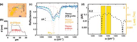 Microscope Image Of A Hbn Flake On Gold B Flake Thickness D Download Scientific Diagram