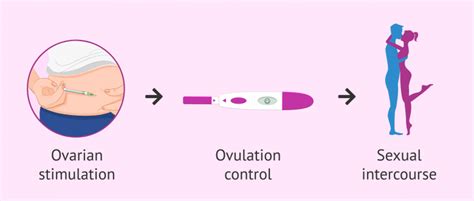 Is Timed Intercourse Or Artificial Insemination Better