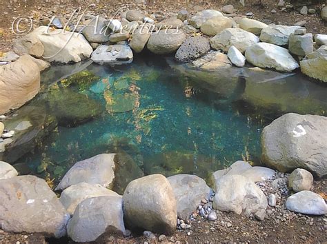 Elven Hot Spring By Elfadventures On Deviantart