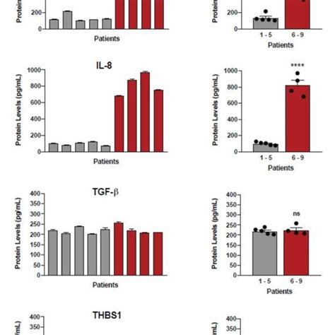 Levels Of Protein Secreted By Cultured Fibroblasts From Fibrosis Download Scientific Diagram