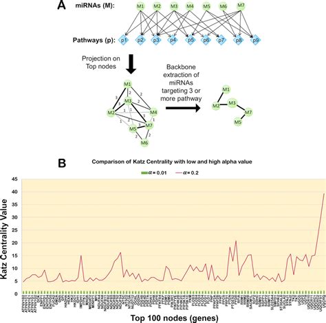 A Illustration Of Mirna Backbone Extraction From Mirna Pathway
