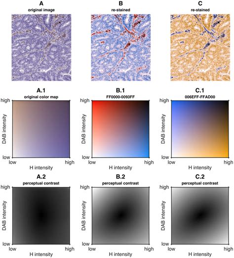 New Color Maps Offer Higher Perceptual Contrast Than Original Color Map Download Scientific