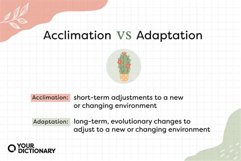 difference between acclimation and adaptation differences explained
