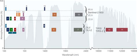 The Spectral Bands Of Sentinel 2 Msi And Landsat 8 Oli Sensors