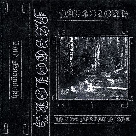 In The Forest Night By Navgolokh Ep Black Ambient Reviews Ratings