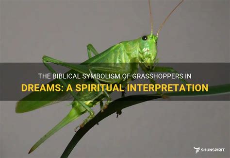 The Biblical Symbolism Of Grasshoppers In Dreams A Spiritual