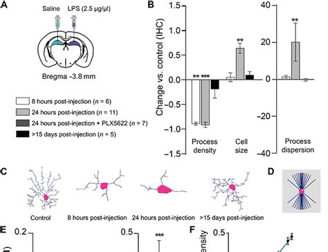 Mapping Microglia And Astrocyte Activation In Vivo Using Diffusion MRI Science Advances
