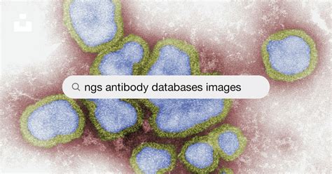 Ngs Antibody Databases Images Pictures Download Free Images On Unsplash