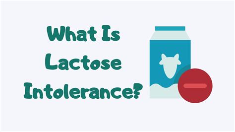 Lactose Intolerance Symptoms Medication At Tracey Parmelee Blog