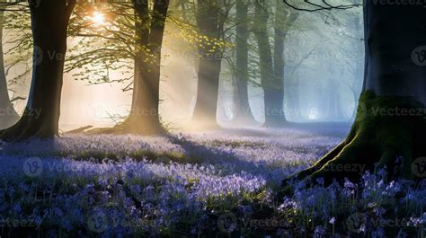 Ai Generated Misty Bluebell Wood At Dawn Ai Generated Stock Photo At Vecteezy