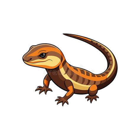 Broad Headed Skink Stock Illustrations 12 Broad Headed Skink Stock