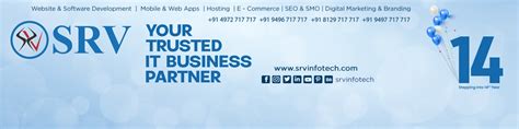 srv infotech linkedin
