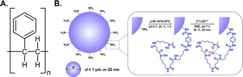 A The Structure Of Polystyrene Ps B The Modification Of An Download Scientific Diagram
