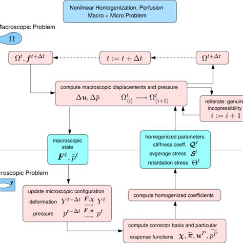 21 macro micro computational algorithm download scientific diagram