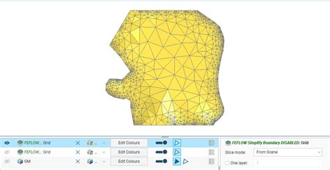 Feflow Models