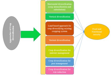 Need For Crop Diversification And Intensification Download Scientific