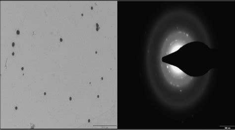 Uv Vis Spectra Selenium Nanoparticles Appeared White In Color But After Download Scientific