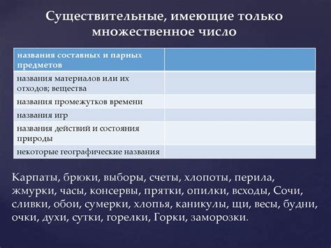Число имён существительных { Единственное и множественное презентация
