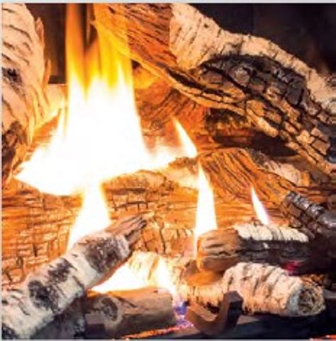 Birch Split Log Set