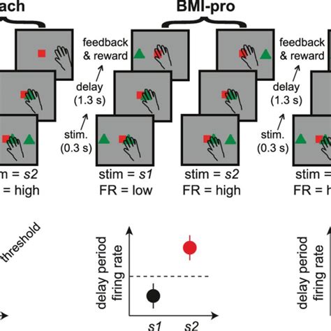 the task event sequence and the stimulus response rule a the temporal download scientific