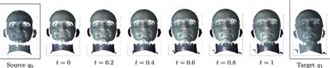 Matching Surfaces With Topological Noise The Facial Scanning