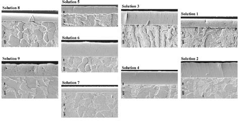 Sem Micrographs Cross Section Of The Coatings Obtained By