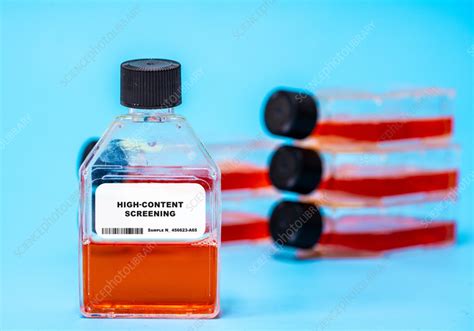 High Content Screening Stock Image F044 7587 Science Photo Library