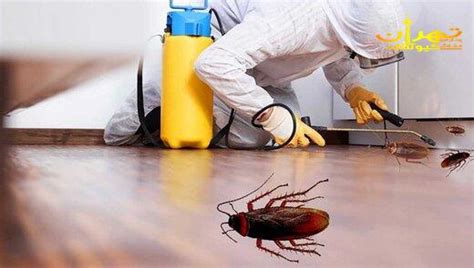 آشنایی با قشنگ ترین مکان ها و روستاهای گردشگری سرسبز اطراف تهران