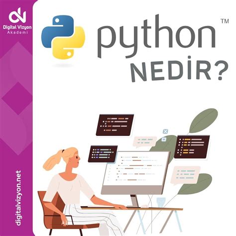 Python Nedir Digital Vizyon Akademi