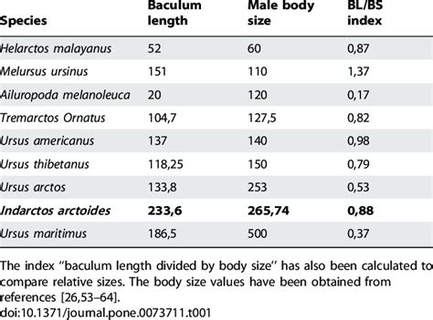 Measurements Of The Baculum Length In Mm And Aproximate Worldwide