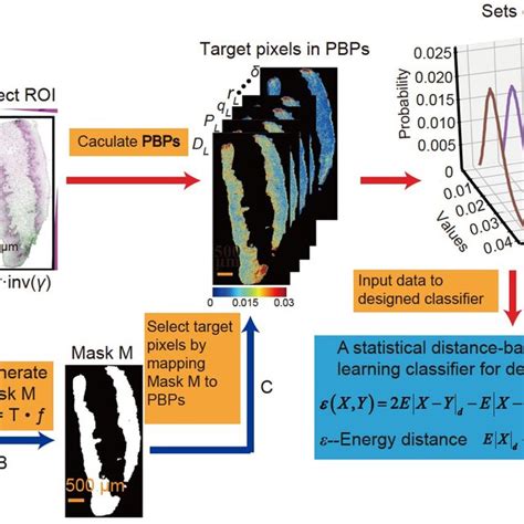 a dual modality machine learning framework for deriving a pfp for