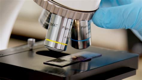 Hands Of A Scientist Choose The Required Microscope Lens Biological