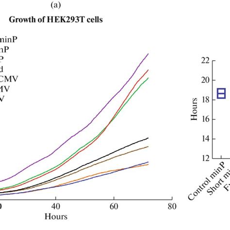 A The Effect Of Overexpression Of Securin Isoforms On Cell Growth Download Scientific Diagram
